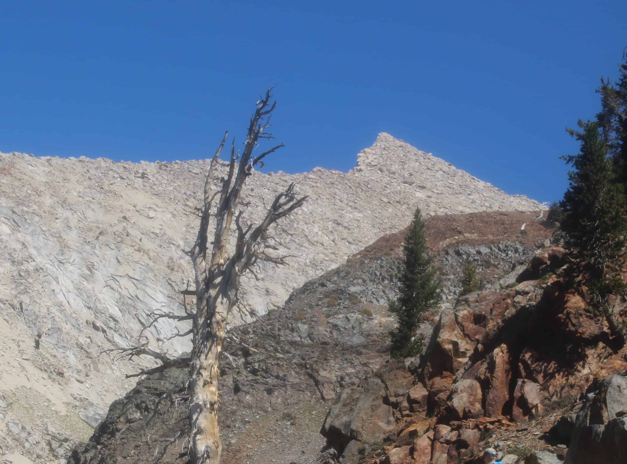 An 1891 Trip to the Summit of Mineral King’s Saw Tooth Peak - Mineral King
